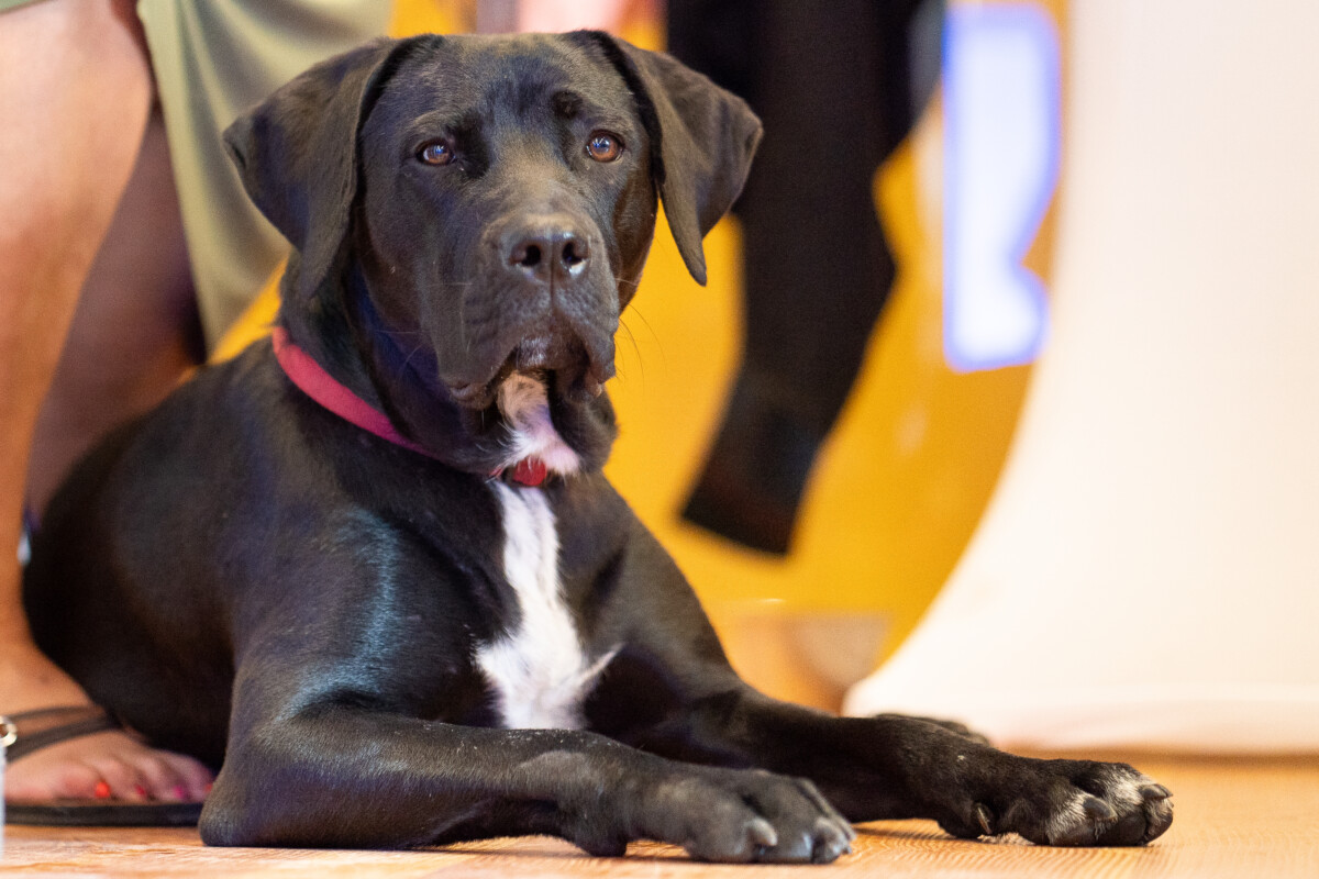 Remote Viewers Meetup Germany 2023 (Review) - PSI-Unit